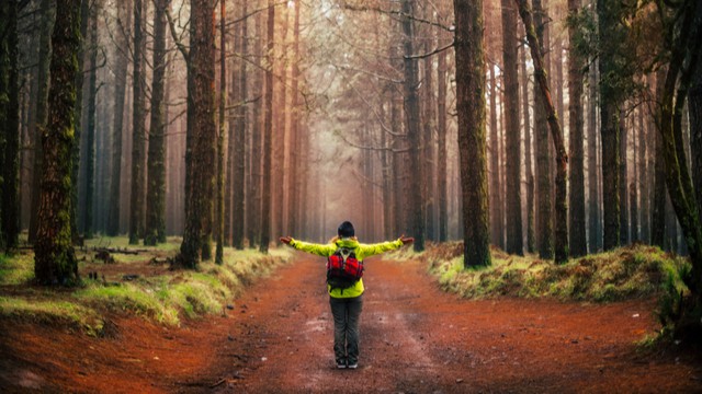 Exploring The New Forest National Park: A Visitor's Guide | Explore ...