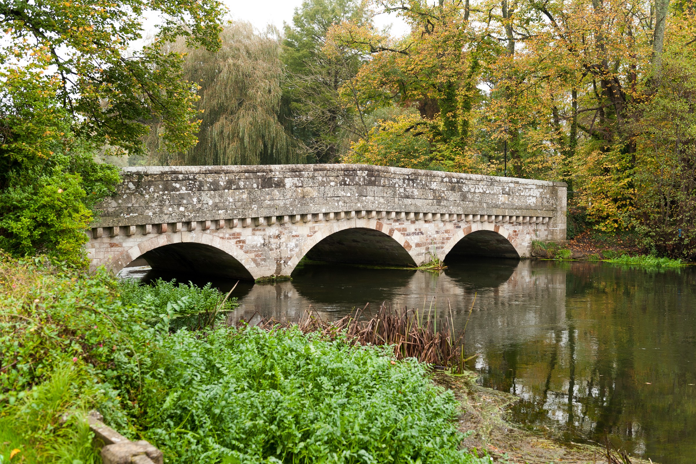 The Fish Inn | Pub & Restaurant In Ringwood, Hampshire