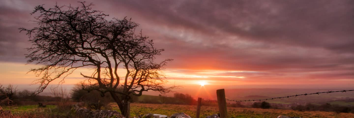 The Langford Inn | Pub With Rooms & Restaurant in Lower Langford, Somerset