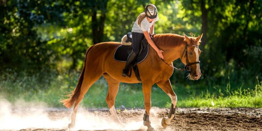 Pubs Near New Forest Horse Riding | Pub Lunch Near New Forest Horse Riding