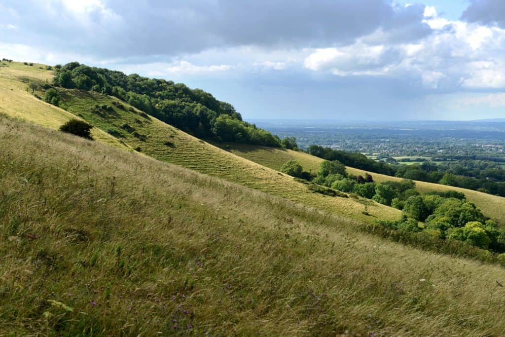 Pubs Near Southdowns National Park | Pub Lunch Near Southdowns National ...
